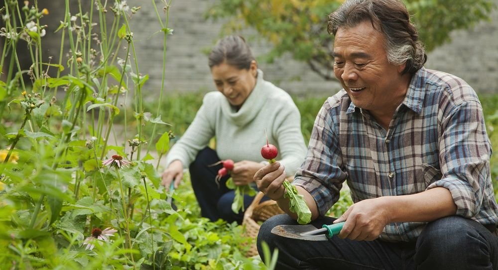 Growing Plants, Growing People: Older volunteers in botanic gardens ...