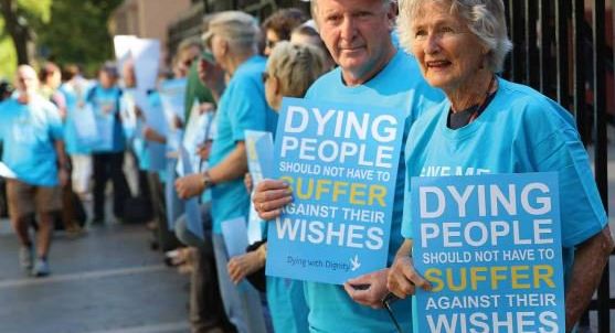 Poster: Senior Australians’ views on voluntary assisted dying ...